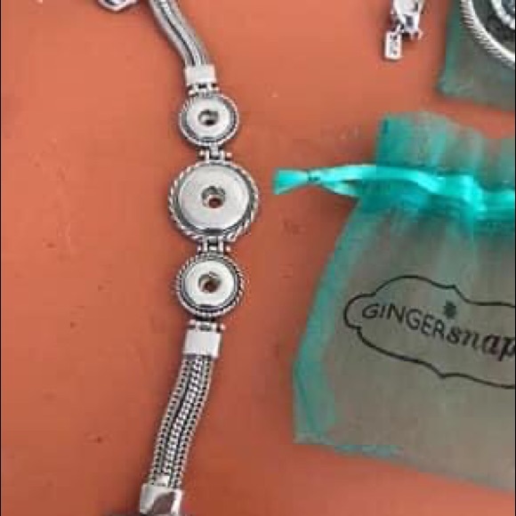 Jewelry | Ginger Snap Bracelet | Poshmark